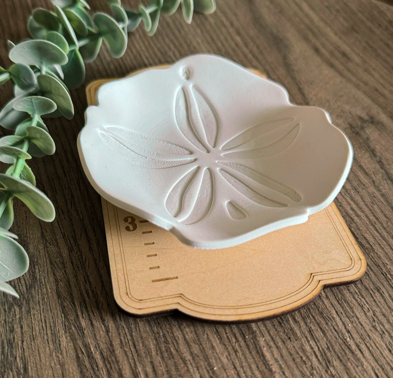 SAND DOLLAR | TRINKET DISH | CLAY CUTTER – Prism Clay Co.